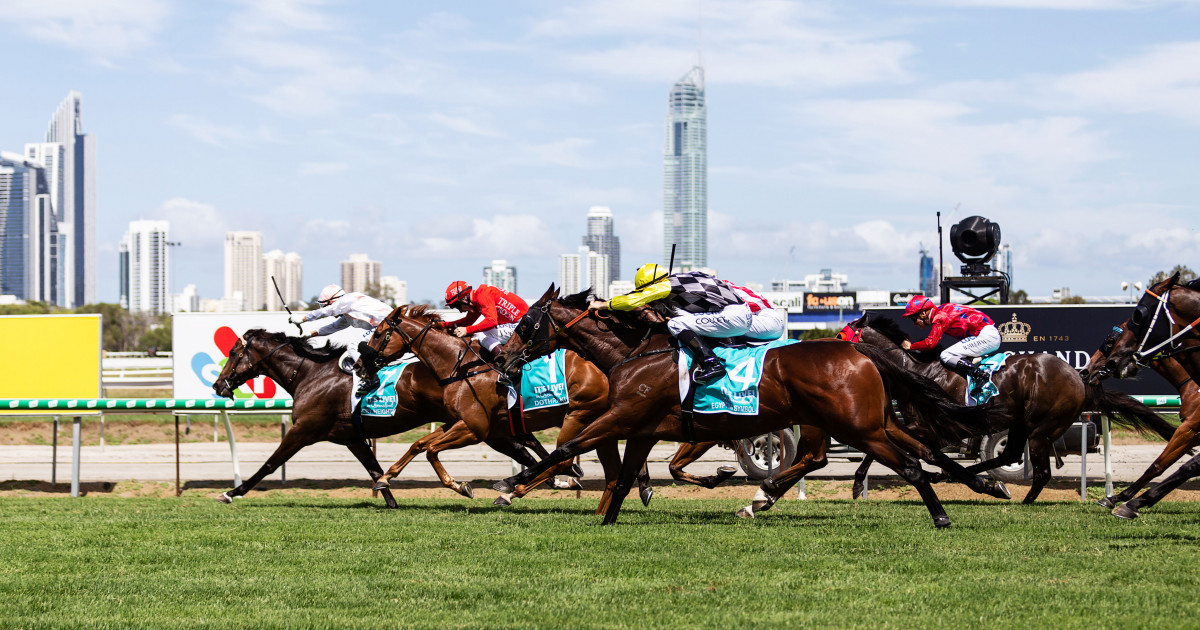 Virtual Horse Racing | Online Team Building | Group Experiences